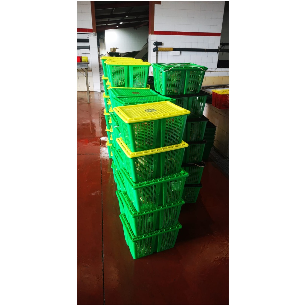 9kg Plastic Crab Basket: Durable & Lightweight Design