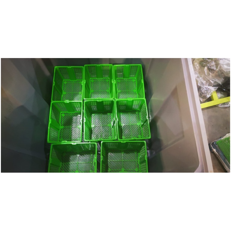 9kg Plastic Crab Basket: Durable & Lightweight Design